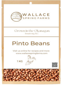 Pinto Bean – Wallace Spring Farms | Armstrong, BC | Beans, Kidney Beans ...