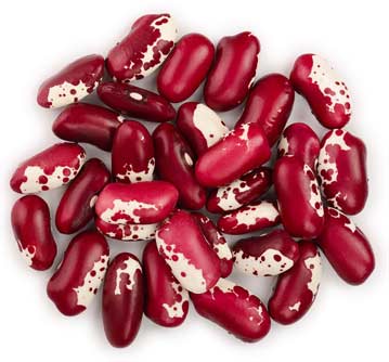 Types of Beans - Wallace Spring Farms, Armstrong, BC, Bean Grower ...