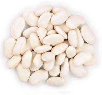 Types of Beans - Wallace Spring Farms, Armstrong, BC, Bean Grower ...