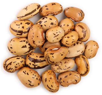 Types of Beans - Wallace Spring Farms, Armstrong, BC, Bean Grower ...