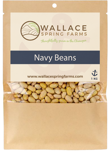 Great Northern Bean – Wallace Spring Farms | Armstrong, BC | Beans ...