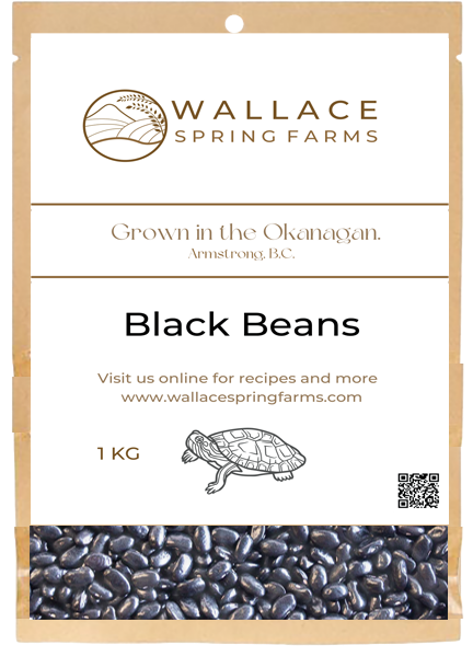 Wallace Spring Farms, Armstrong, BC, Bean Grower, Kidney Beans, Dried Beans